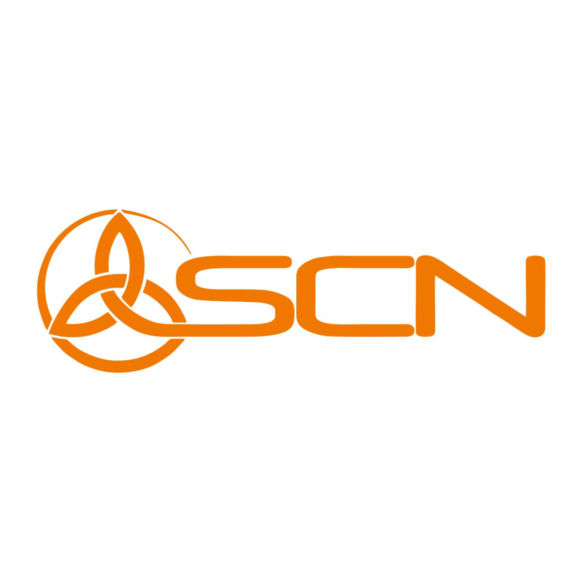 Serbian Consulting Network